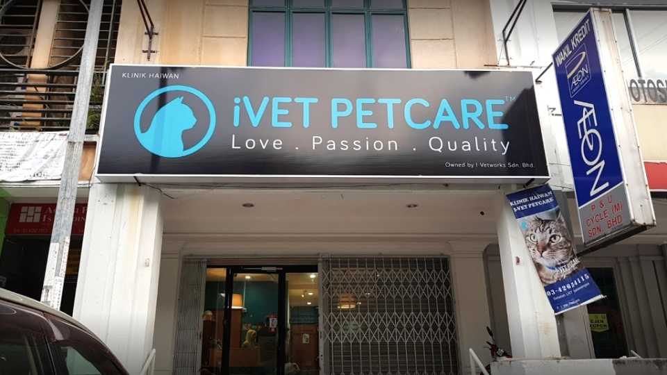 2023 Guide: 11 Best Vet Clinics in KL and Selangor